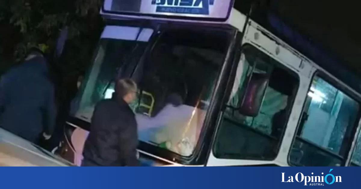 Quién Es El Chico De 19 Años Detenido Por El Crimen Del Colectivero En 3138