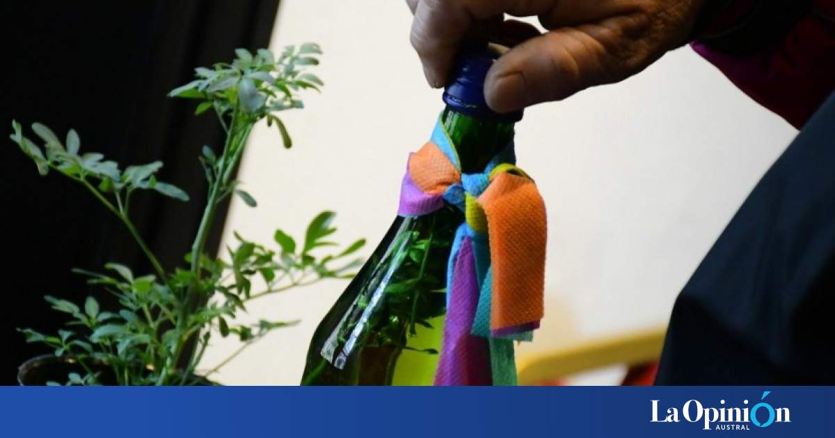 Cómo es el ritual de la caña con ruda: cuántos tragos tomar y qué frase ...