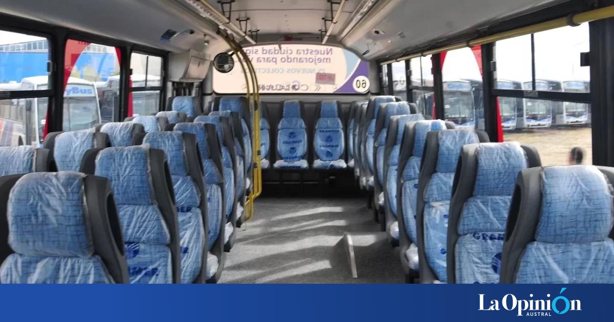 Colectivos: cuándo empiezan a regir los cambios de horarios y de ...