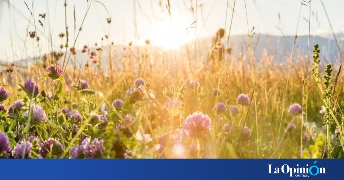 Equinoccio de primavera: cuándo sucede y en qué se diferencia del ...