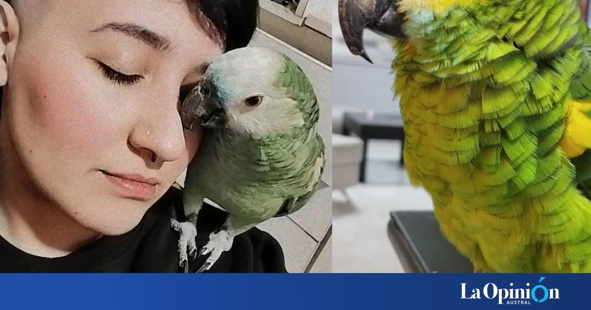 Nazarena busca a Cachu, un loro perdido en el barrio Evita de Río ...