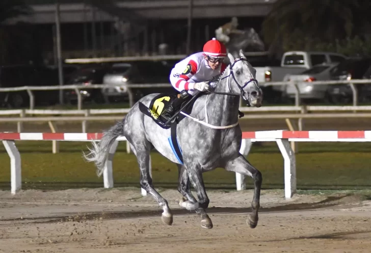 Miriñaque ganó el Gran Premio de la República Argentina: “Es el caballo ...