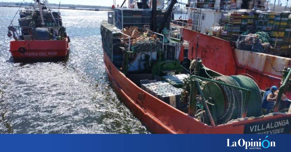 Denuncian que el Puerto de Montevideo es un colador para la pesca ilegal que captura recursos ...
