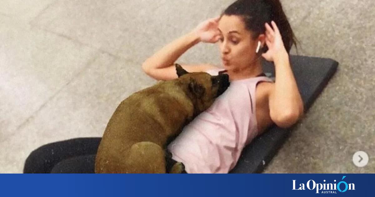 “Sasha Dog”: cómo usar el filtro hiperrealista que es furor en ...