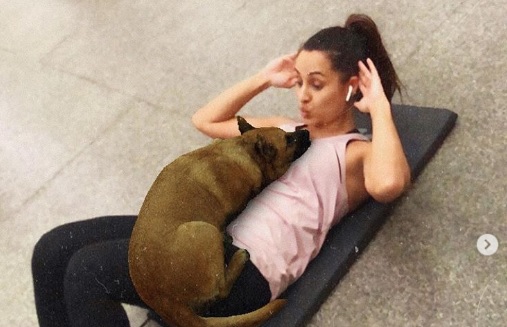 “Sasha Dog”: cómo usar el filtro hiperrealista que es furor en ...
