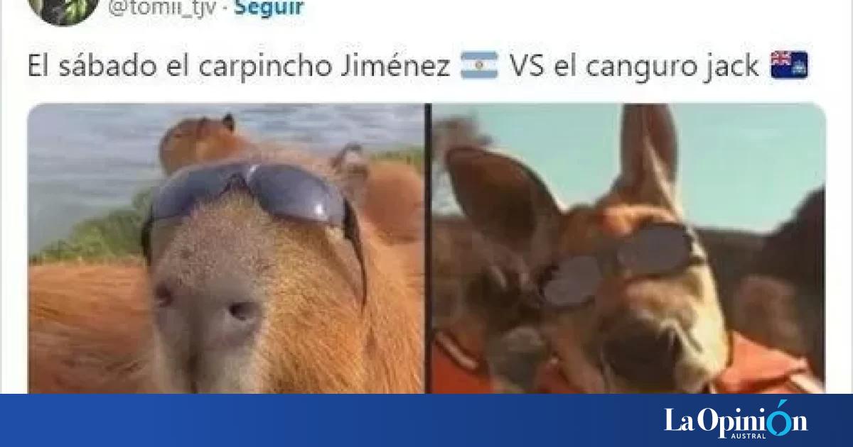 Mundial Qatar 2022: los divertidos memes antes del partido de Argentina ...