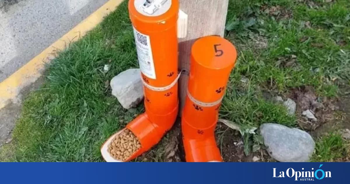 Polémica en Ushuaia por la instalación de comederos para perros en las ...