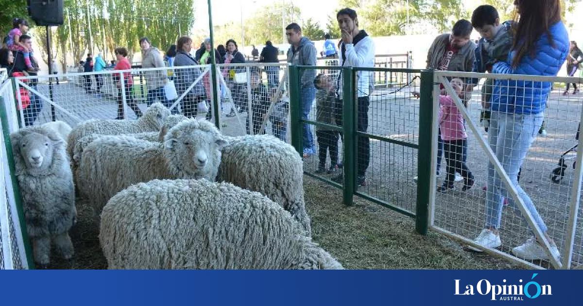 Actividades por el Día de la Tradición en la Sociedad Rural de Río ...