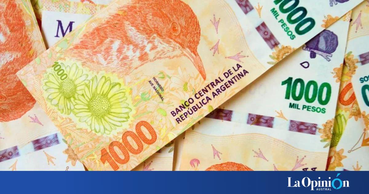 Bono de $20.000 para desempleados: fechas confirmadas en el Calendario ...