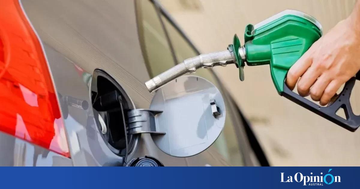 Combustible: cuánto tiempo duran la nafta y el gasoil en el tanque del ...