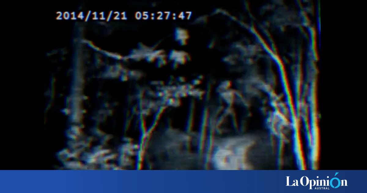 Loading en La Opinión Radio: El Terror analógico | La Opinión Austral