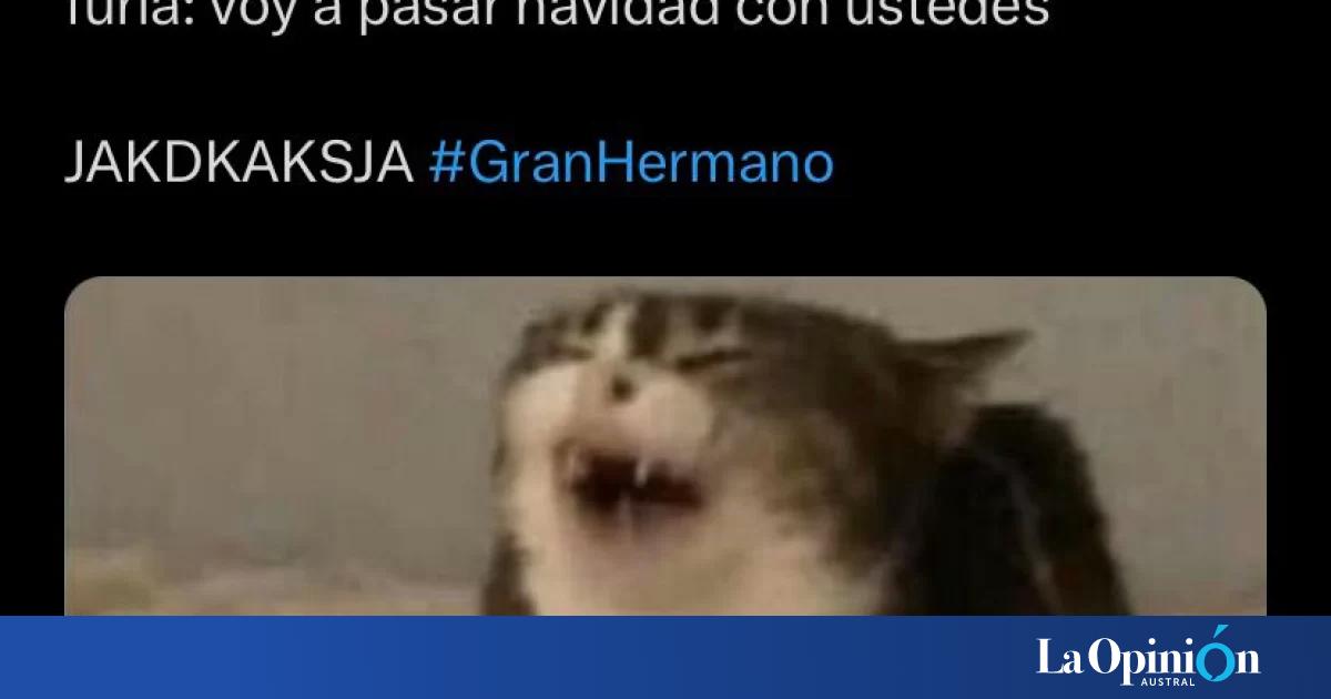 Los mejores memes tras la eliminación de Hernán de Gran Hermano ...