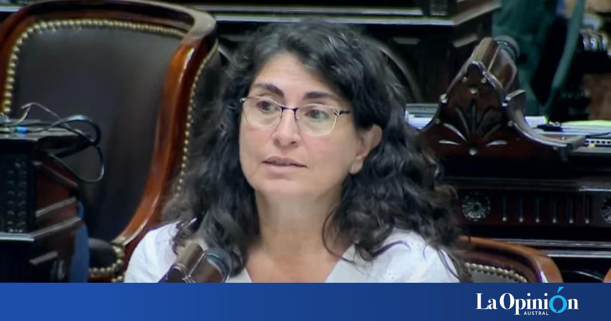 Ianni encabezó ranking legislativo de los diputados patagónicos | La ...