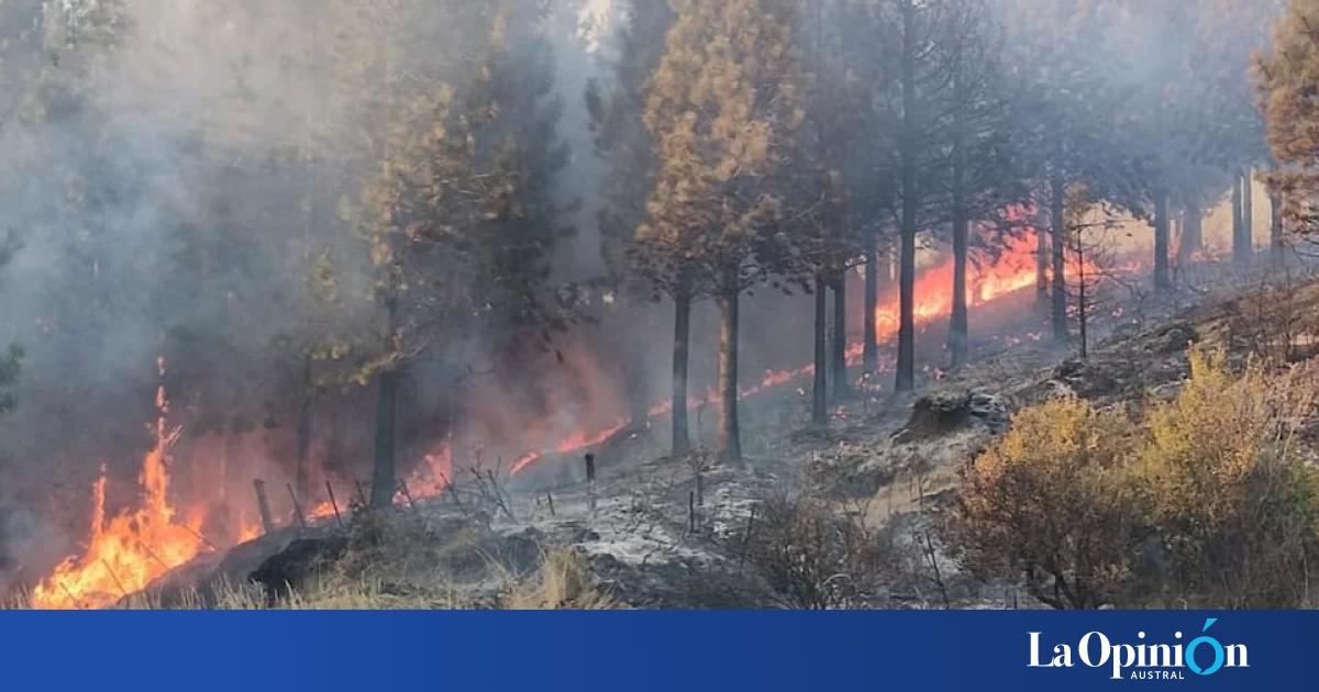 Nuevo foco de incendio en el ingreso de Esquel y la ciudad corre ...