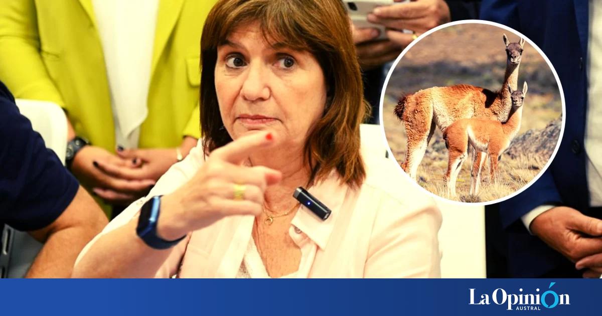 Patricia Bullrich: “En Chubut no vive nadie, no hay más que un millón ...