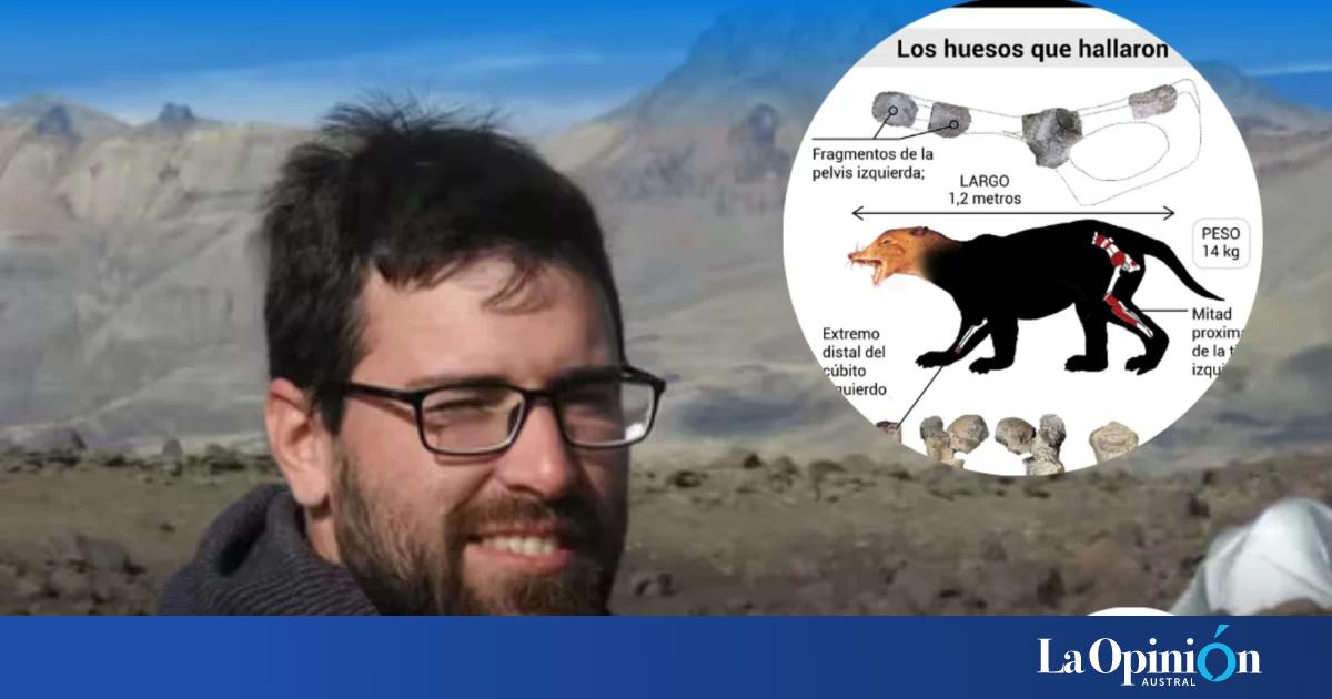 Descubrieron en la Patagonia el mamífero más grande que convivió con ...