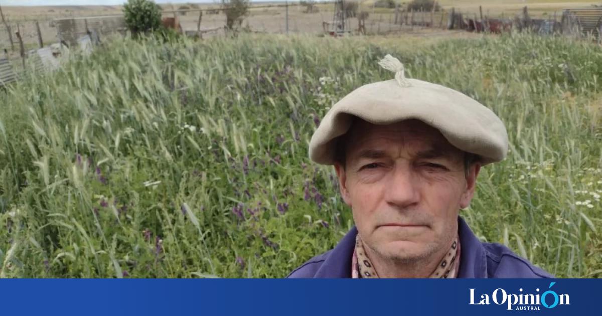 “Un sabor agridulce”: las sensaciones que devuelve hoy el campo ...