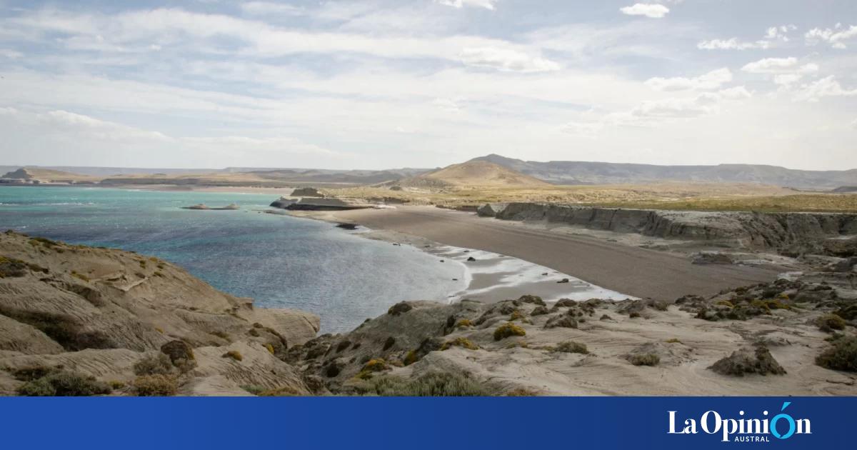 Aprobaron la creación del Parque Marino Monte León | La Opinión Austral