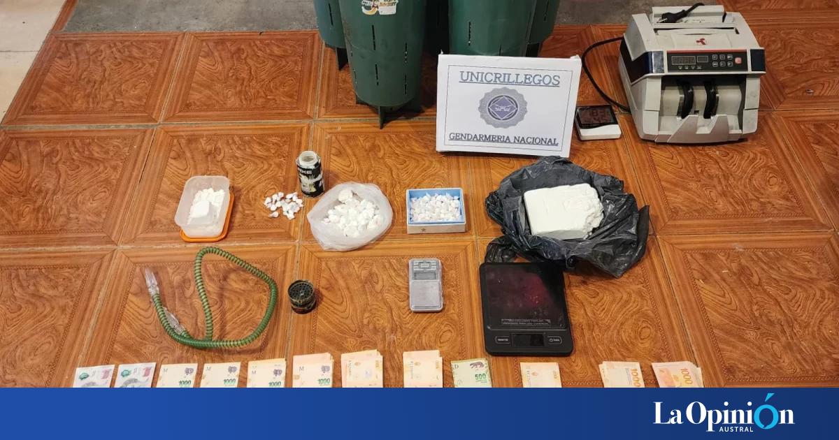 Allanamiento En Río Gallegos Secuestraron Cocaína Y Plantas De