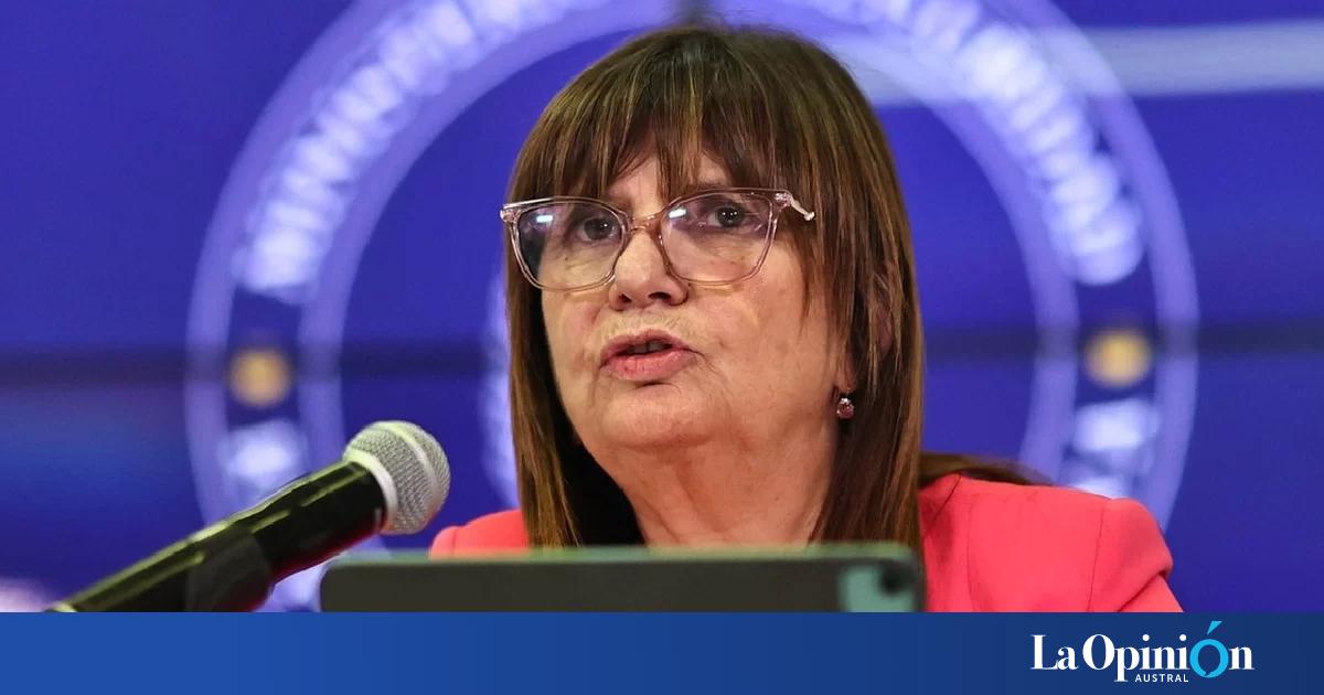 Caso Loan: Bullrich dijo que piensa analizar estómagos de pumas y ...