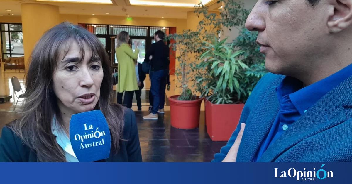 Roxana Reyes, sobre el hidrógeno verde: “Tenemos que dar un marco ...