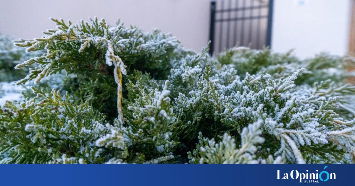 Alerta amarilla por frío extremo en Santa Cruz: qué significa y a dónde ...