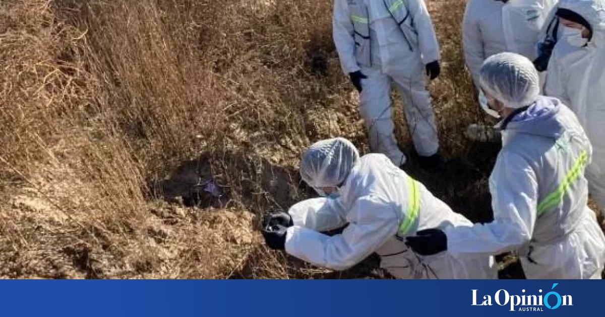 Femicidio en La Pampa: la mujer asesinada tenía nueve hijos y ocho de ...