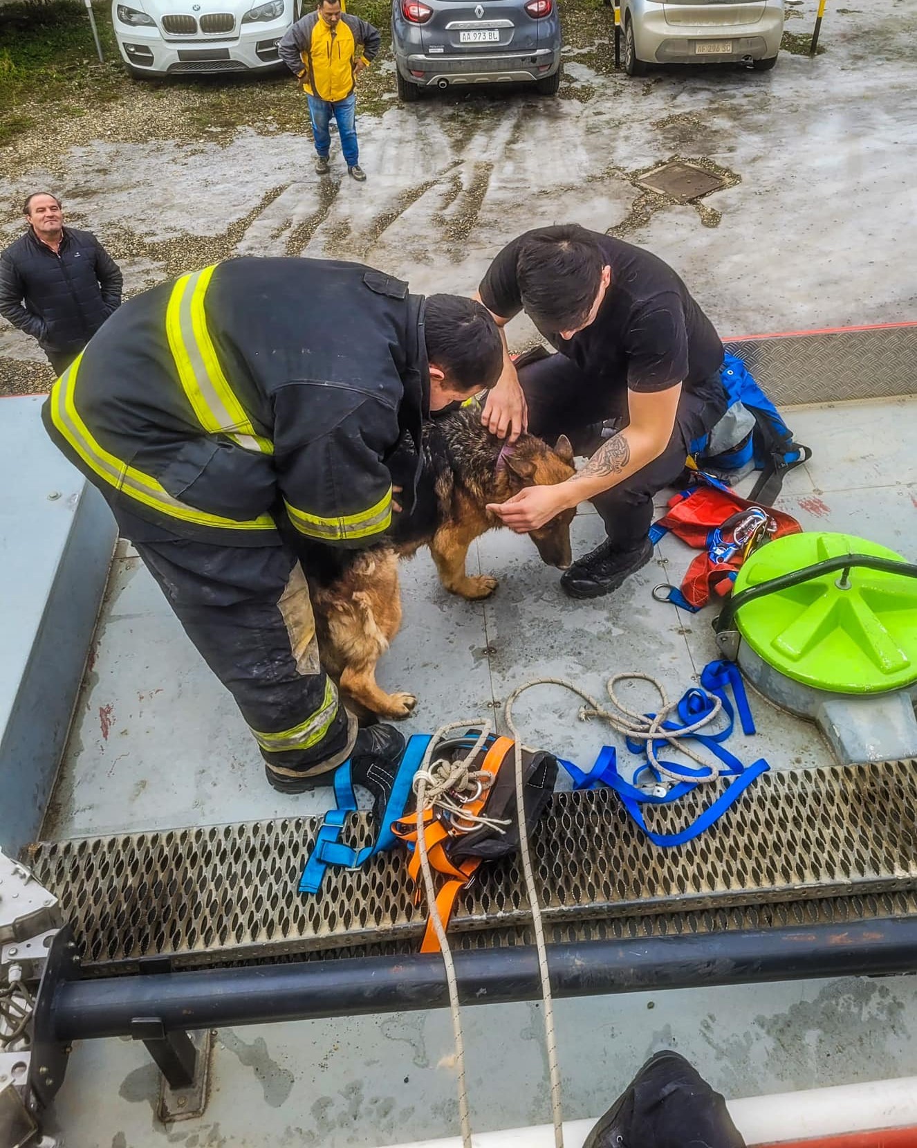 Dramático rescate de un perrito que había quedado atrapado entre dos paredes | La Opinión Austral