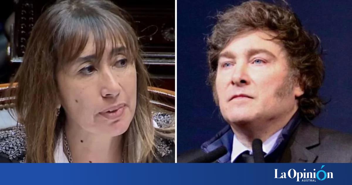 Roxana Reyes se reunió con Milei: “Planteé la importancia de garantizar ...