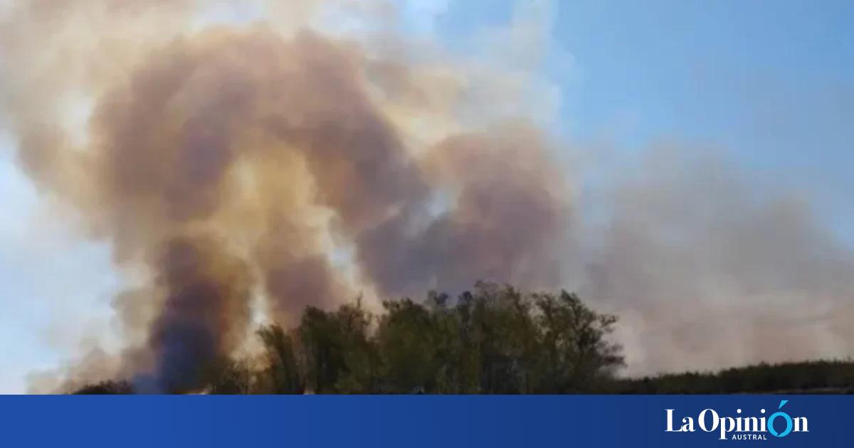 Piromaníaco comenzó un mega incenido y fue detenido | La Opinión Austral