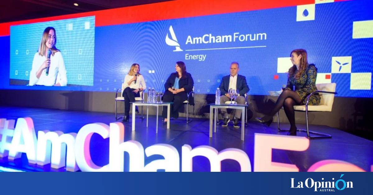 Todo el AmCham Energy Forum 2024 donde se analizó la realidad y el ...