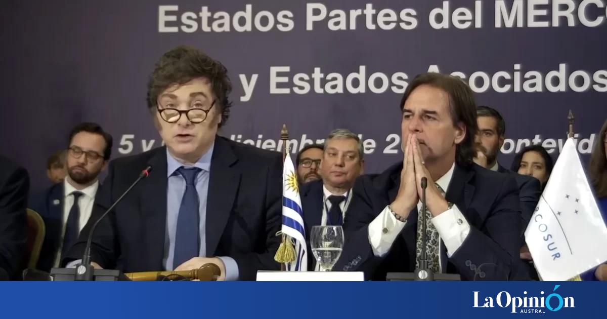 Javier Milei asumió la presidencia del Mercosur y criticó el ...