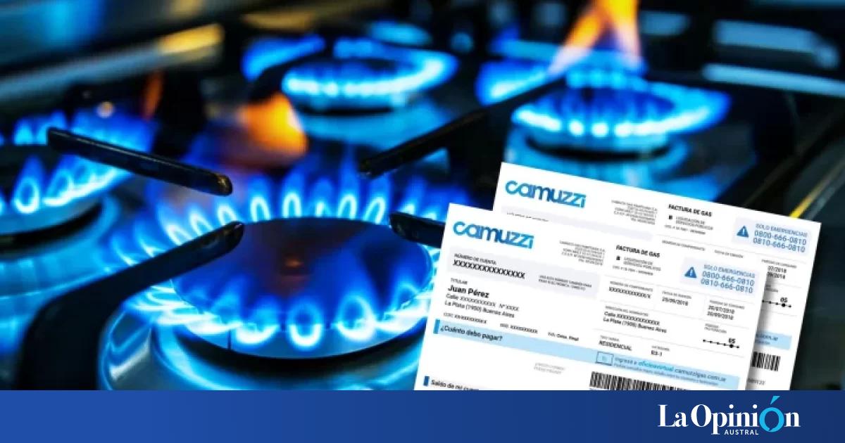 Santa Cruz: Camuzzi facturará en la próxima boleta el “amparo” no ...