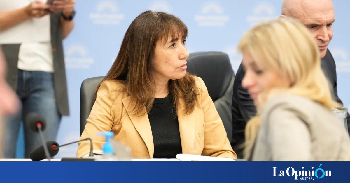 Tras la condena a Cristina Kirchner, la diputada de Santa Cruz Roxana Reyes quiere “recuperar lo ...