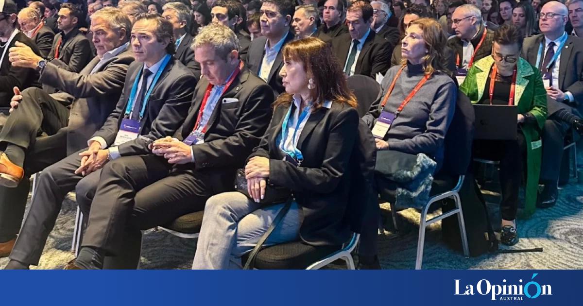 Roxana Reyes consideró a la energía como “motor del desarrollo federal ...