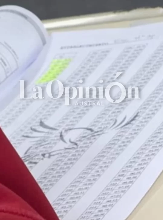 Elecciones 2025. La Justicia Electoral ordena a La Libertad Avanza ...