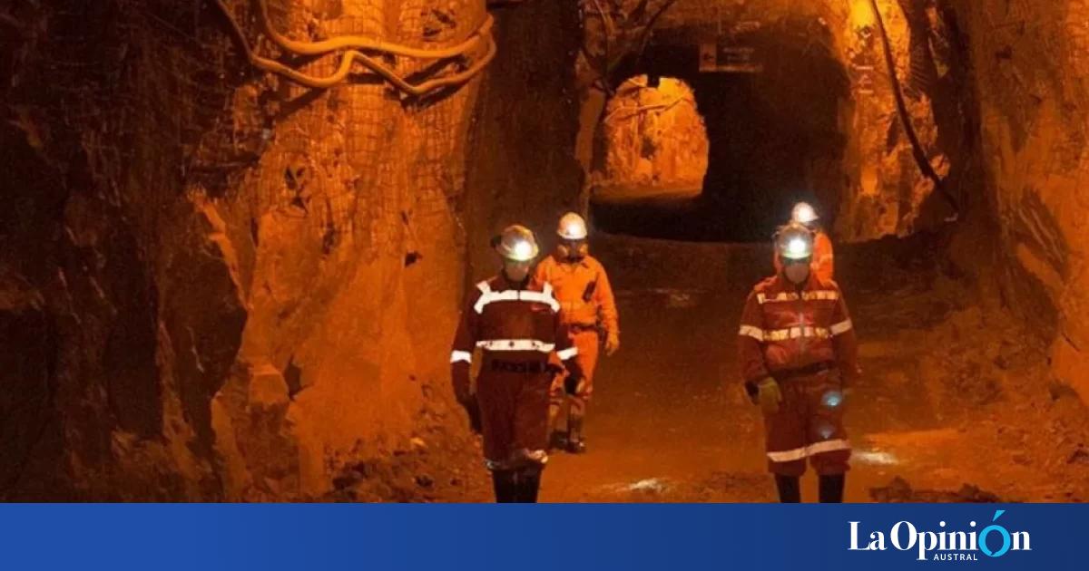 Presentaron un proyecto para capacitar e insertar laboralmente en la ...