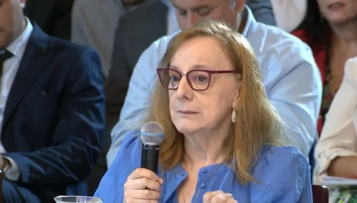 Alicia Kirchner cuestionó el anuncio del Gobierno sobre un “Gemelo ...