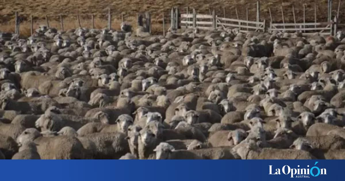 El Gobierno oficializó la emergencia agropecuaria para Santa Cruz: Las ...