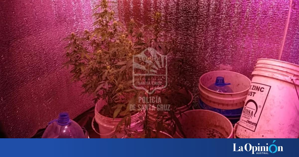 Caleta Olivia: allanamiento por una causa de amenazas terminó con el ...